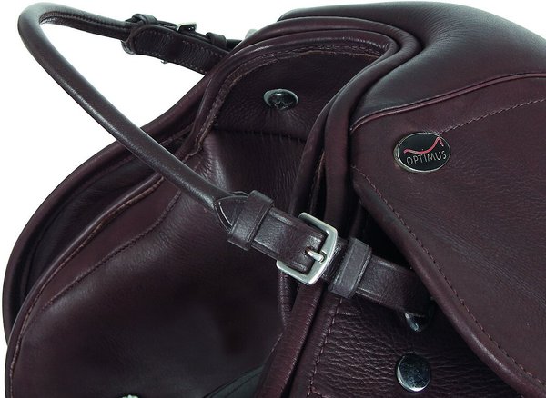 SHIRES EQUESTRIAN PRODUCTS Blenheim Horse Balance Strap, Dark Havana ...