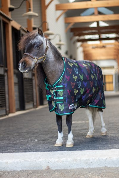 Discontinued - SHIRES EQUESTRIAN PRODUCTS Mini Highlander Horse Blanket ...