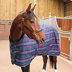 SHIRES EQUESTRIAN PRODUCTS Tempest Plus 100-g Stable Rug, Navy Tartan ...
