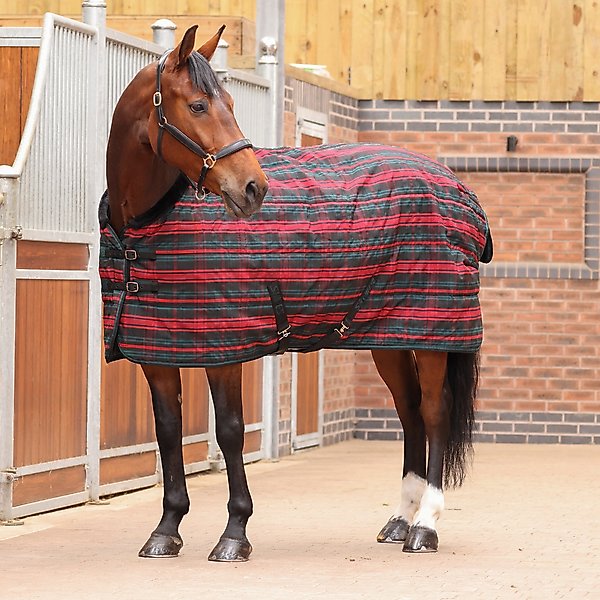SHIRES EQUESTRIAN PRODUCTS Tempest Plus 200-g Stable Rug, Red Tartan ...