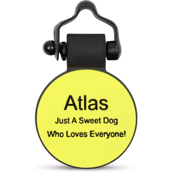 SILIDOG The Silent Dog Tag Silicone Bone Personalized Dog ID Tag, Green ...