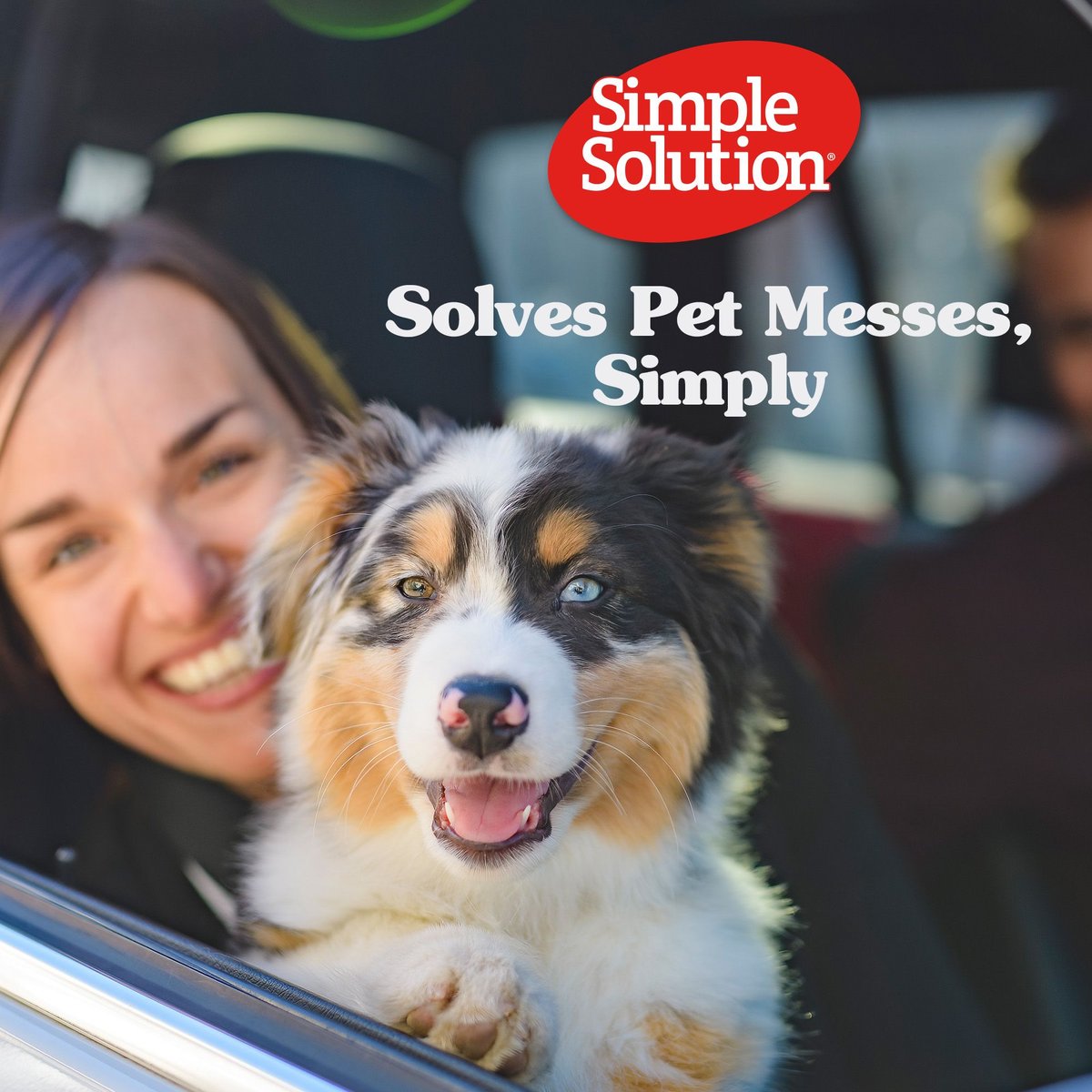 SIMPLE SOLUTION Disposable Female Dog Diapers, Medium: 15 to 23-in ...