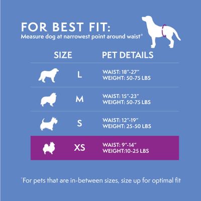 SIMPLE SOLUTION Disposable Male Dog Wrap, Toy: 9 to 14-in waist, 30 ...