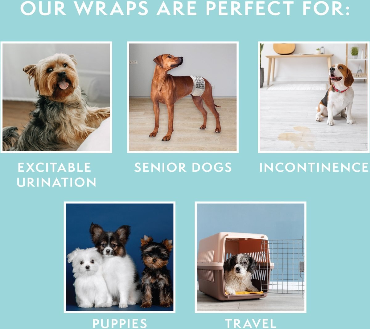 SIMPLE SOLUTION Disposable Male Dog Wrap, Toy: 9 to 14-in waist, 30 ...
