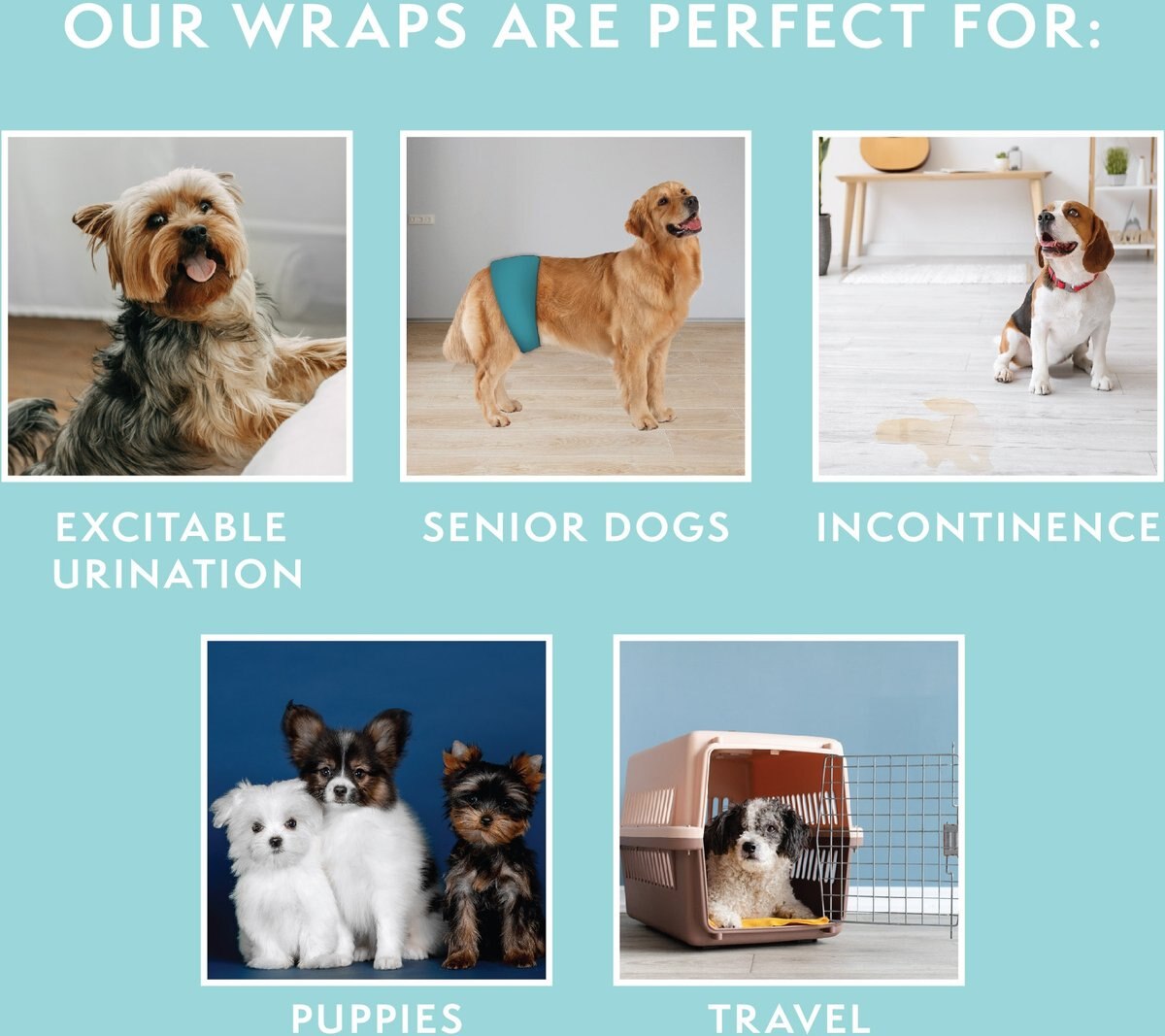 SIMPLE SOLUTION Washable Male Dog Wrap, Large: 29 to 31-in waist ...