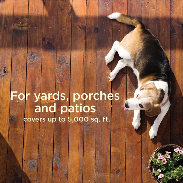 SIMPLESOURCE Flea & Tick Dog Yard & Kennel Spray - Chewy.com