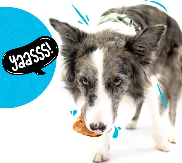 SITKA FARMS Beef Knee Caps Dog Bones, Large, 12 count - Chewy.com