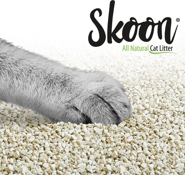 SKOON All Natural Fine-Grain Unscented Non-Clumping Cat Litter, 8-lb ...