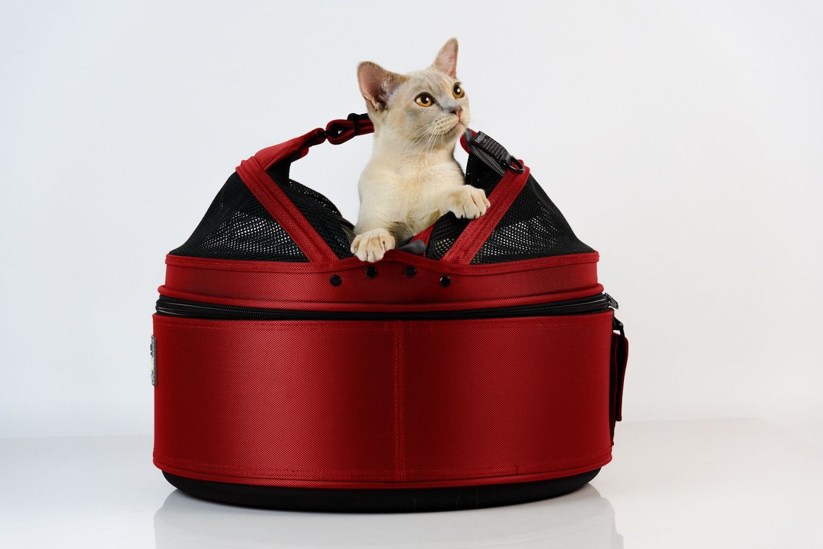 SLEEPYPOD Mobile Cat & Dog Bed & Carrier, One Size, Robin Egg Blue ...