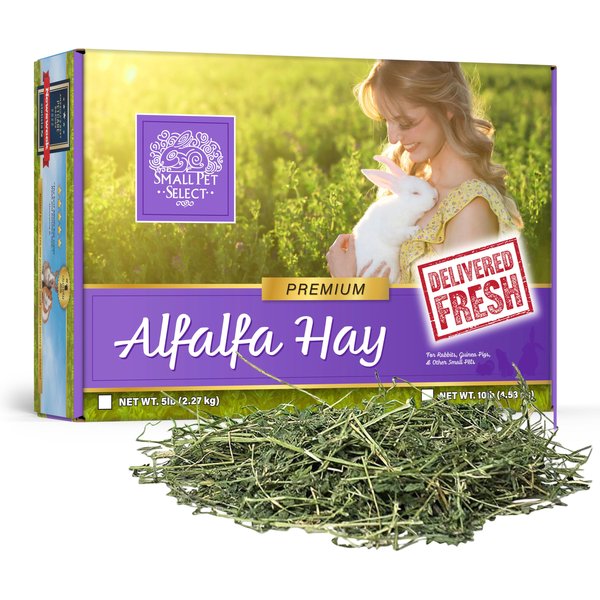 SMALL PET SELECT Alfalfa Hay Small Pet Food, 10-lb box - Chewy.com