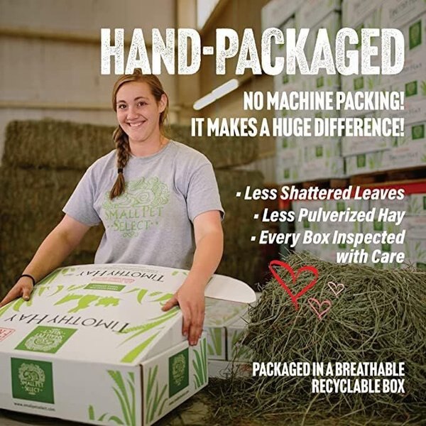 SMALL PET SELECT Alfalfa Hay Small Pet Food, 10-lb box - Chewy.com