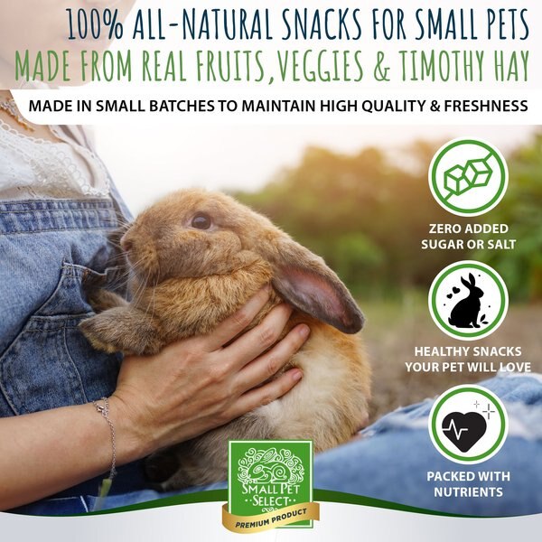 SMALL PET SELECT Apple Healthy Snackers Small Animal Treats, 4-oz bag ...