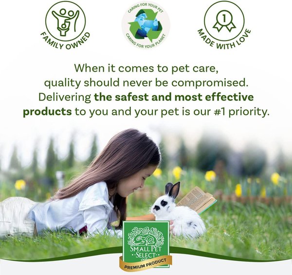 Temporarily Unavailable - SMALL PET SELECT Hair Buster Fur Detangler ...