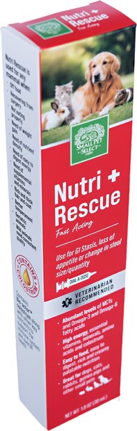 Rabbit Vitamins & Supplements | Chewy
