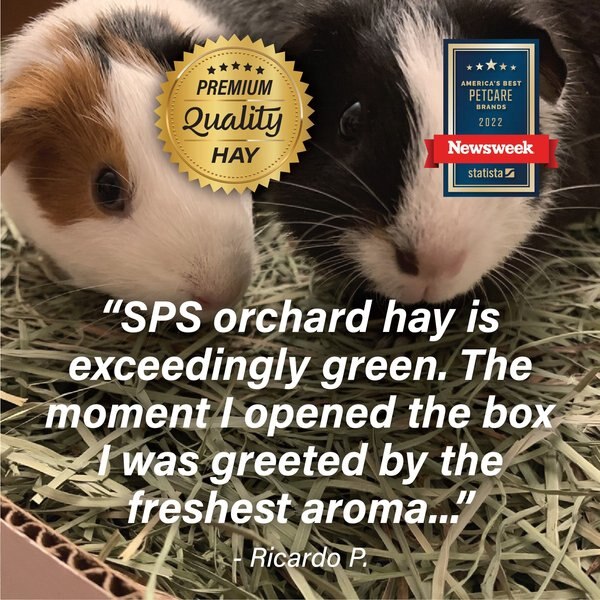 SMALL PET SELECT Orchard Grass Hay Small Animal Food, 20-lb box - Chewy.com