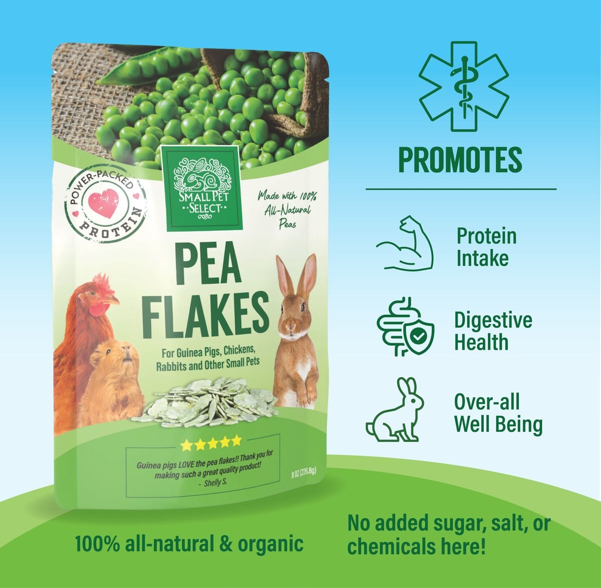 SMALL PET SELECT Pea Flakes Small Animal Treats, 8-oz bag - Chewy.com