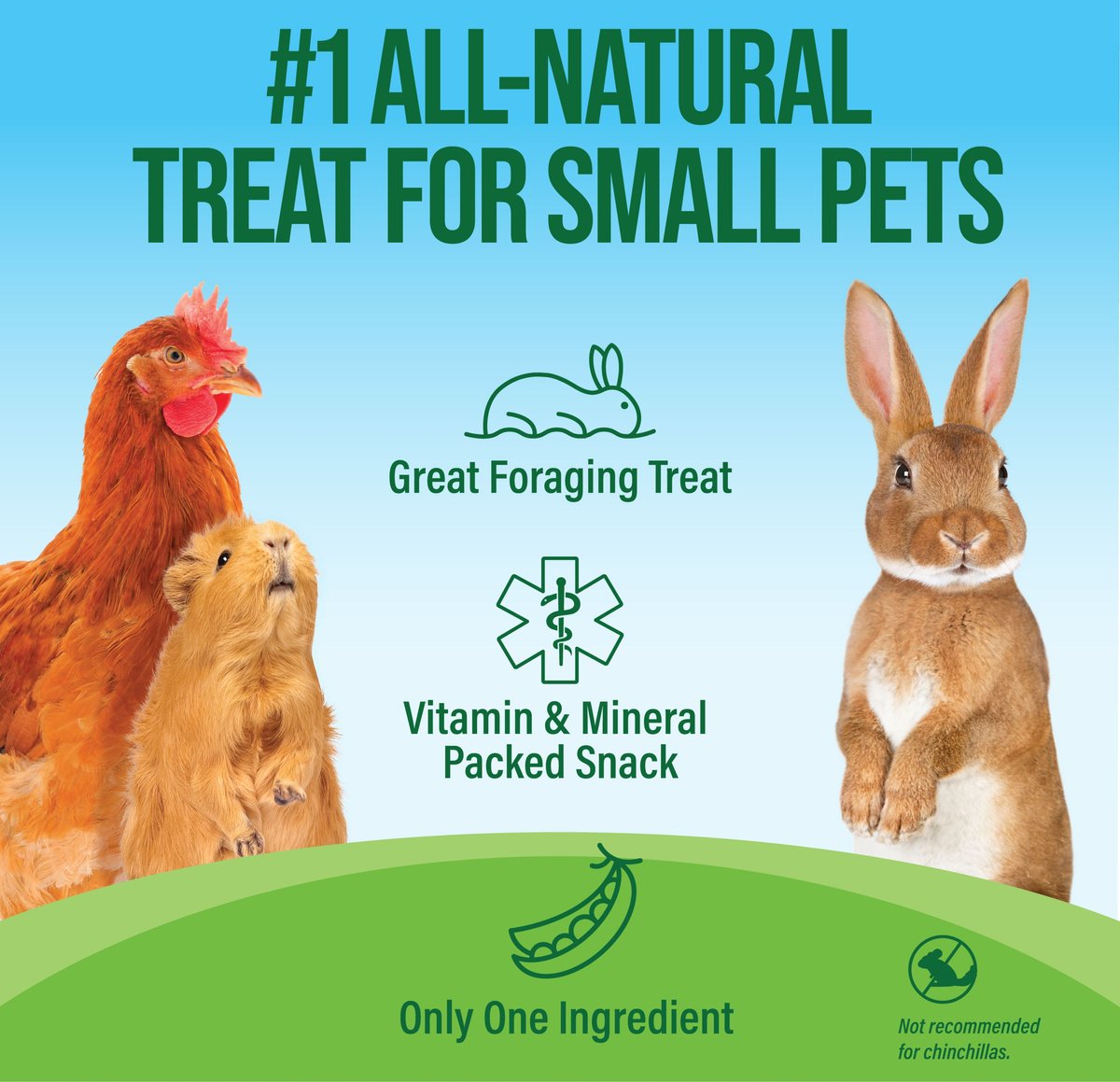 SMALL PET SELECT Pea Flakes Small Animal Treats, 8-oz bag - Chewy.com