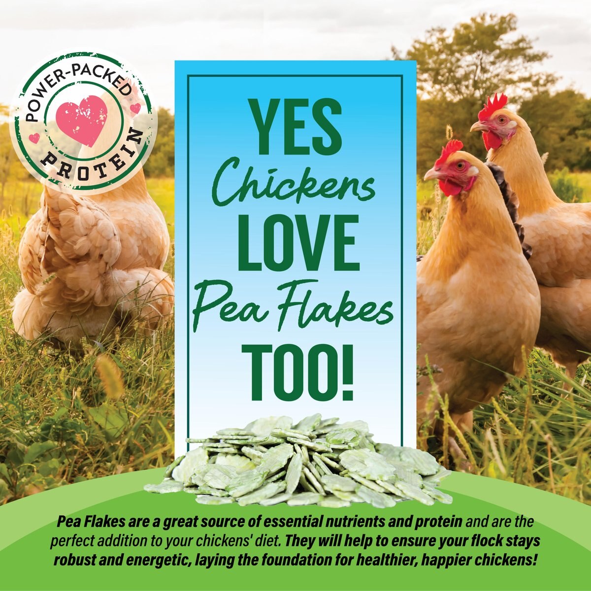 SMALL PET SELECT Pea Flakes Small Animal Treats, 8-oz bag - Chewy.com