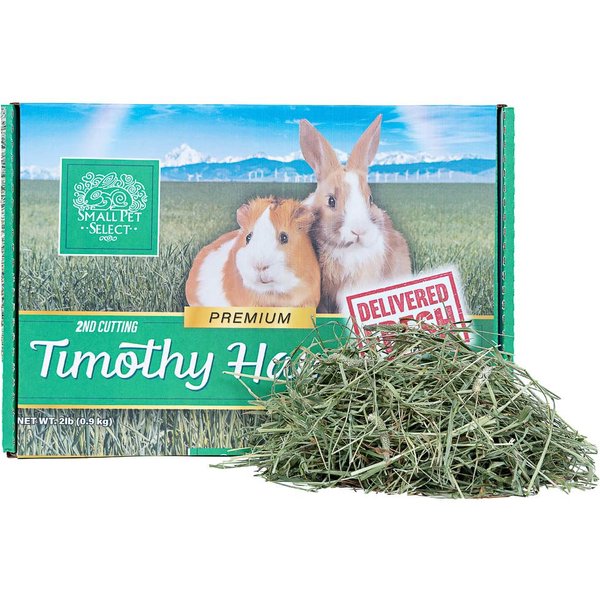 RABBIT HOLE HAY Ultra Premium Hand-Packed Medium Timothy Hay for Small ...