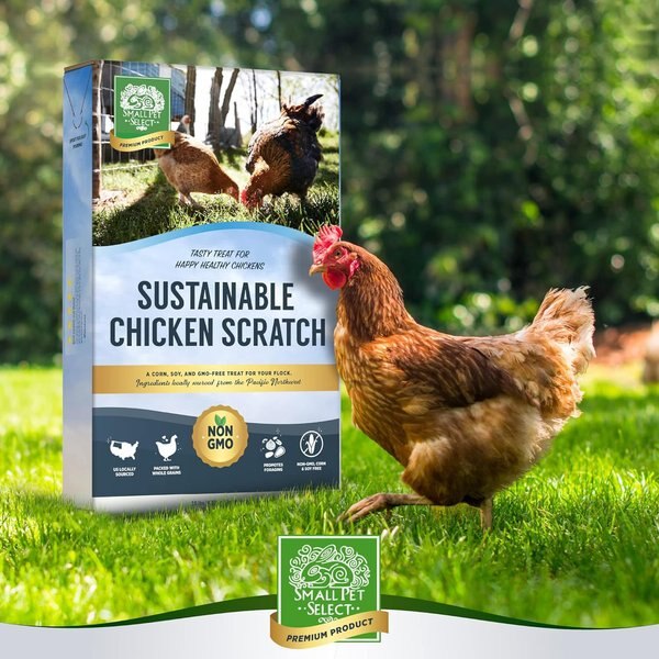 SMALL PET SELECT Sustainable Chicken Scratch Feed, 20-lb box - Chewy.com