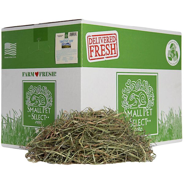 SMALL PET SELECT Orchard Grass Hay Small Animal Food, 20-lb box - Chewy.com