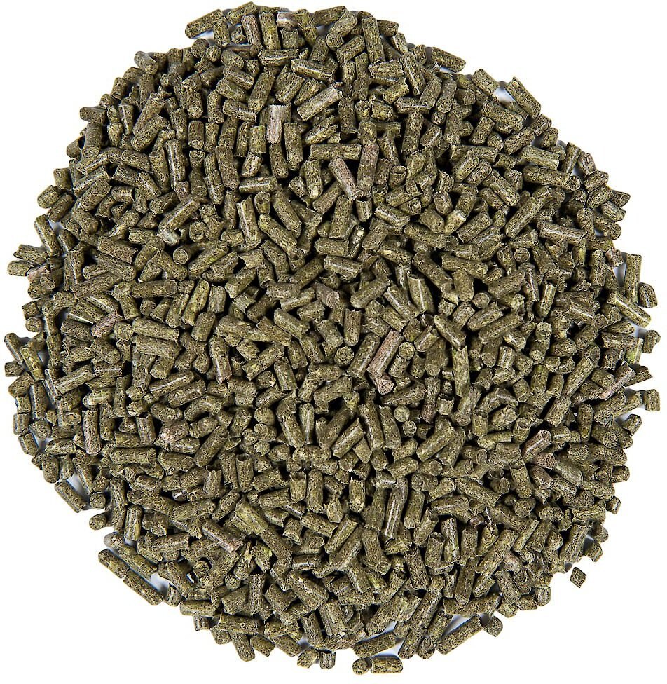 SMALL PET SELECT Timothy Based Pellets Rabbit Food, 10-lb box - Chewy.com