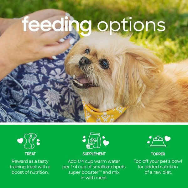 SMALLBATCH PETS Super Booster Duck Bites Grain-Free Adult Freeze-Dried ...