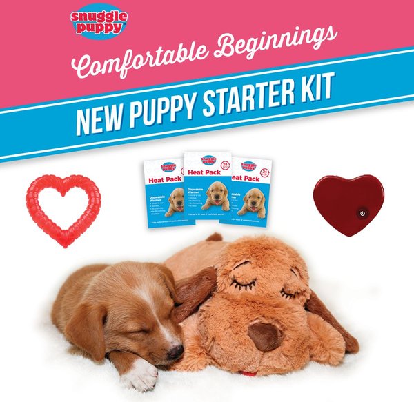 SMART PET LOVE Snuggle Puppy Comfortable Beginnings New Puppy Starter Kit Puppy, Pink - Chewy.com