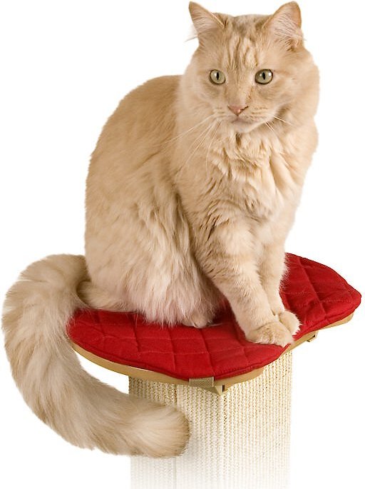 SMARTCAT The Ultimate Cat Scratching Post Perch Pad, Red - Chewy.com