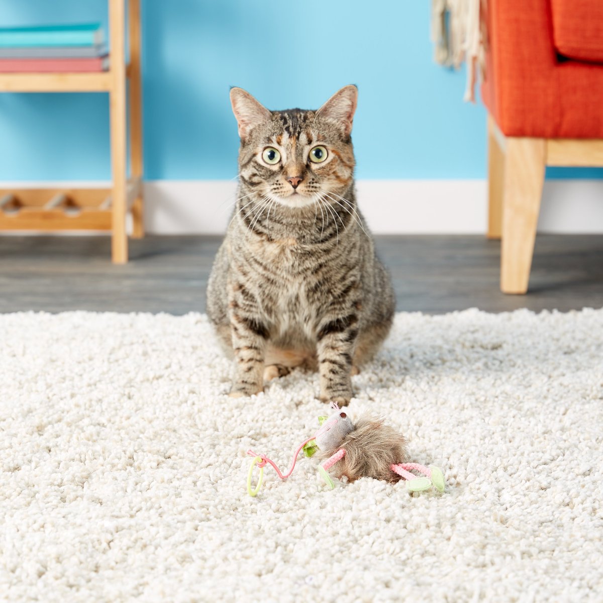 SMARTYKAT Bouncy Mouse Interactive Teaser Cat Toy, Color Varies - Chewy.com