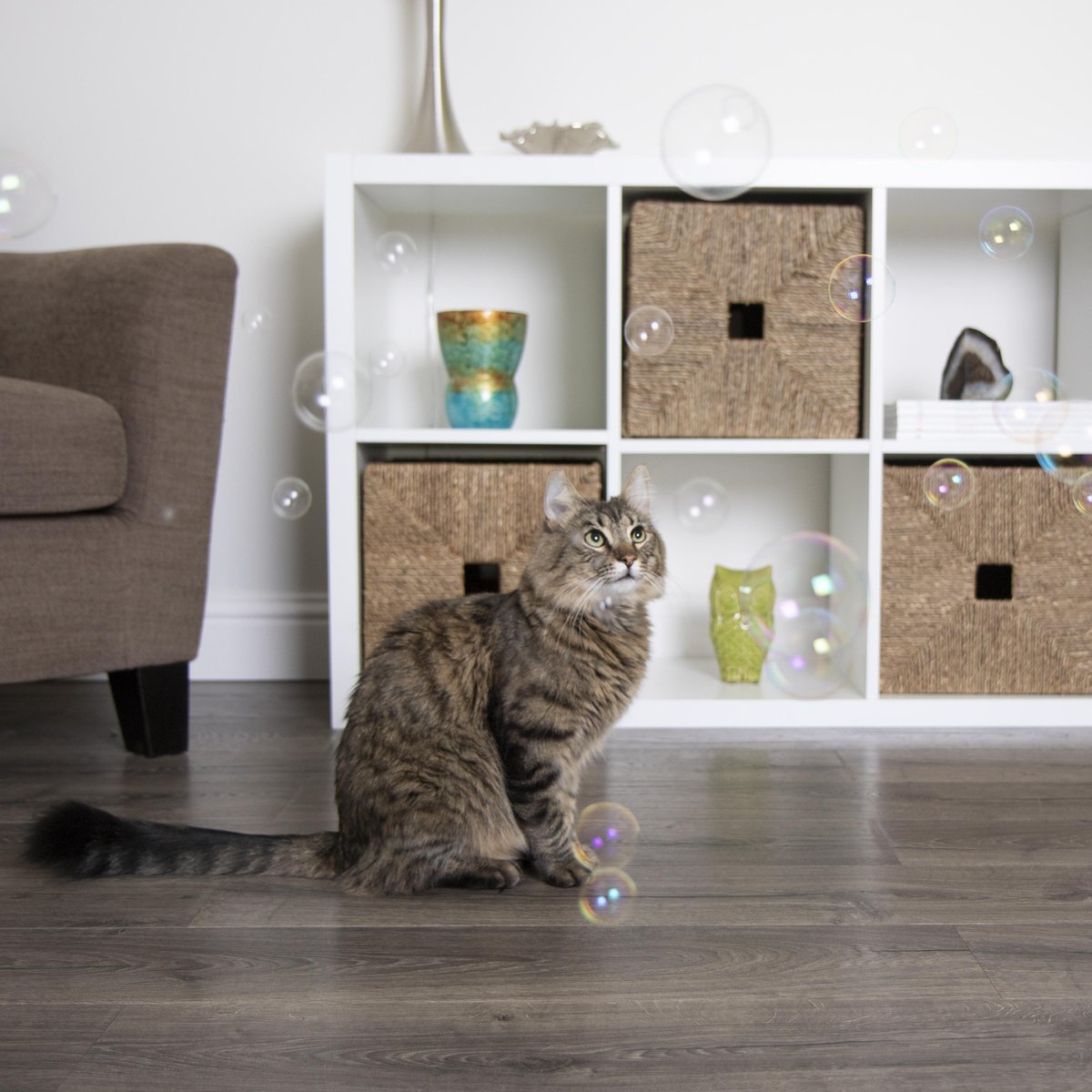 SMARTYKAT Bubble Nip Bubbles Pure & Potent Catnip, 0.6-oz container - Chewy.com