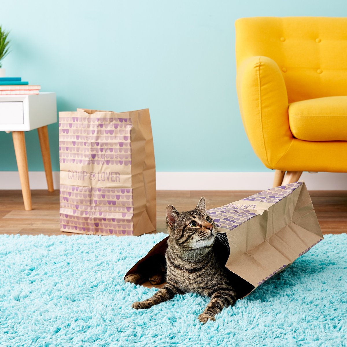 SMARTYKAT Cat Caves Catnip Infused Paper Bags, 2 count - Chewy.com