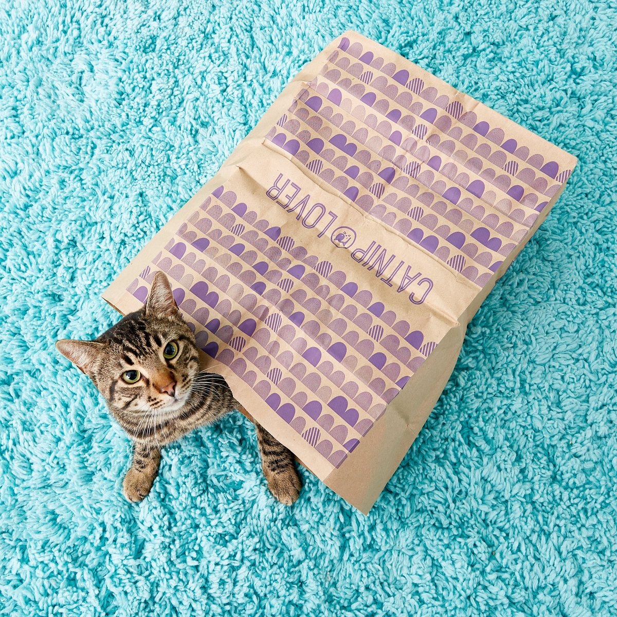 SMARTYKAT Cat Caves Catnip Infused Paper Bags, 2 count - Chewy.com