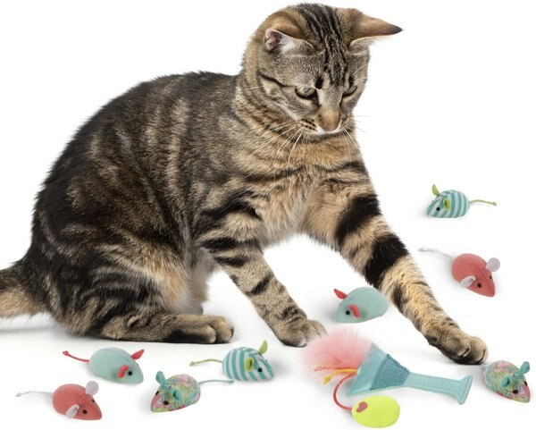 SMARTYKAT Celebration Bundle Cat Toys - Chewy.com