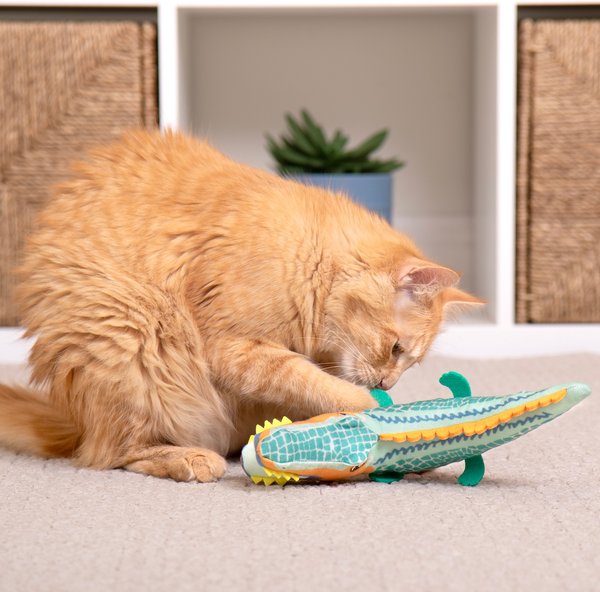 SMARTYKAT Crazed Croc Refillable Kicker Cat Toy & Catnip Tube - Chewy.com