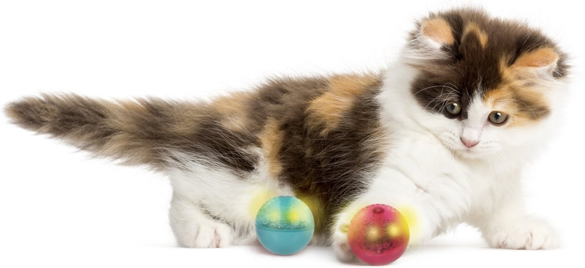 SMARTYKAT Flicker Balls Electronic Light Ball Cat Toy, Multicolor ...