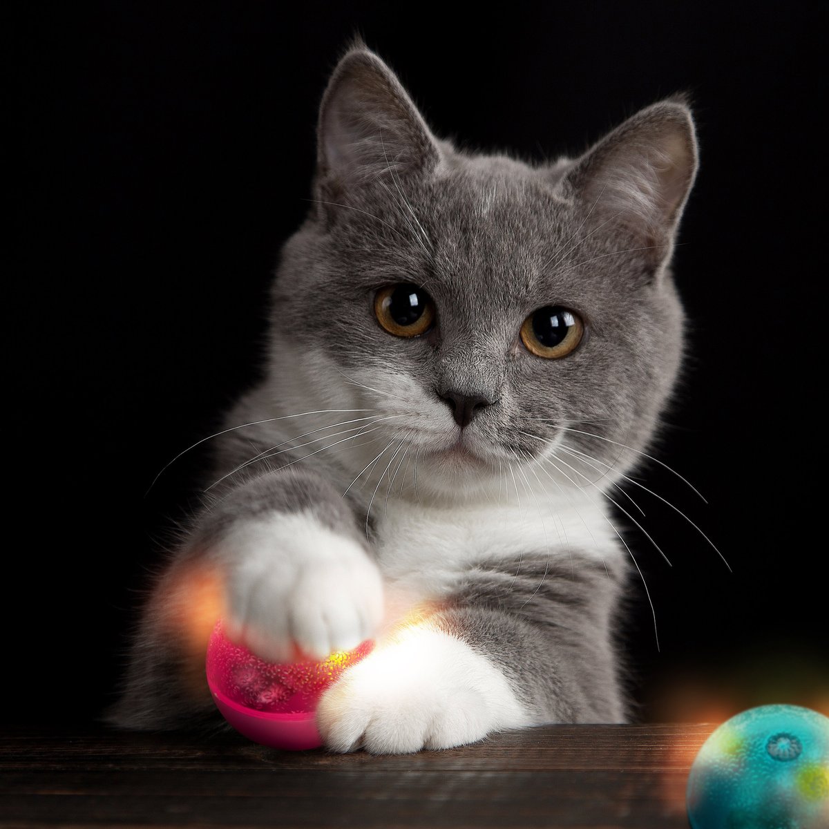 SMARTYKAT Flicker Balls Electronic Light Ball Cat Toy, Multicolor ...
