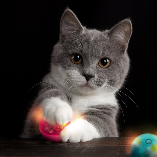 SMARTYKAT Flicker Balls Electronic Light Ball Cat Toy, Multicolor ...