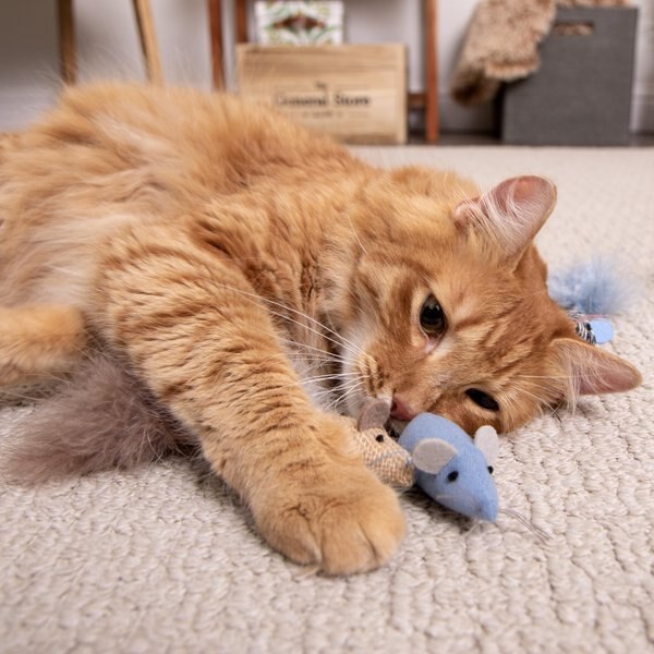 SMARTYKAT Instincts Catnip Caravan HappyNip Silvervine Toss & Bat Plush Mice Cat Toys, 3-pack ...