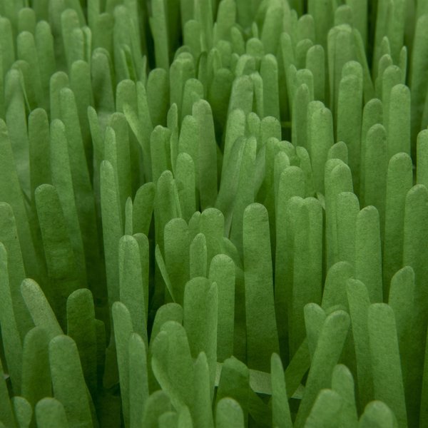 SMARTYKAT Instincts Meadow Mayhem Paper Grass Hide & Seek Cat Toy, 2 ...