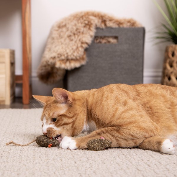 SMARTYKAT Instincts Mouser Mayhem HappyNip Silvervine & Catnip Compressed Cat Toy, set of 2 ...