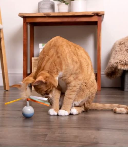 SMARTYKAT Instincts Rowdy Ribbons Electronic Motion Spinning Ball Cat ...