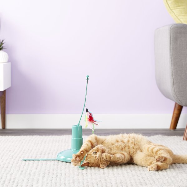 SMARTYKAT Loco Motion Electronic Motion Teaser Wand Cat Toy, Blue ...