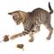 SMARTYKAT Mousy Mayhem Compressed Mice Catnip Cat Toy, 2 count - Chewy.com