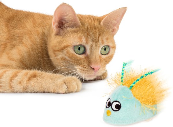 SMARTYKAT Roaming Rascal Electronic Motion Cat Toy - Chewy.com
