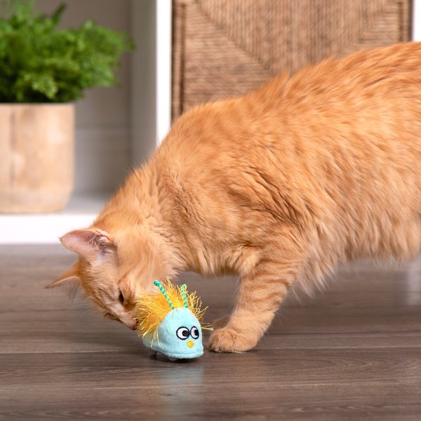SMARTYKAT Roaming Rascal Electronic Motion Cat Toy - Chewy.com