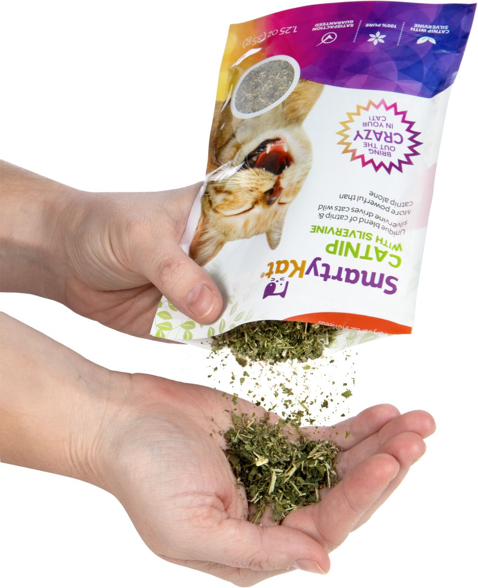 SMARTYKAT Silvervine Cat Attractant Catnip, 1.25-oz pouch - Chewy.com