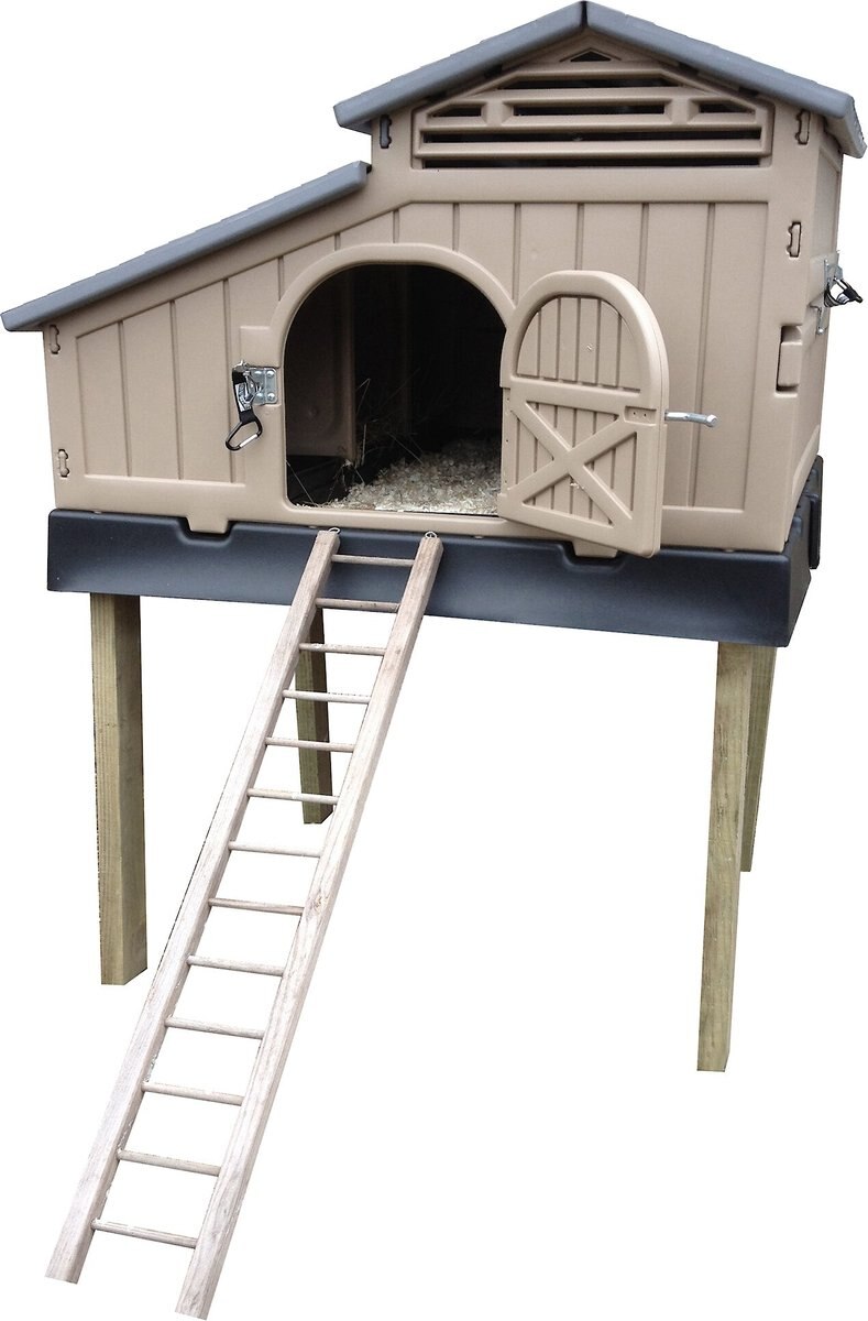 SNAP LOCK Snap Together Chicken Coop, Regular - Chewy.com