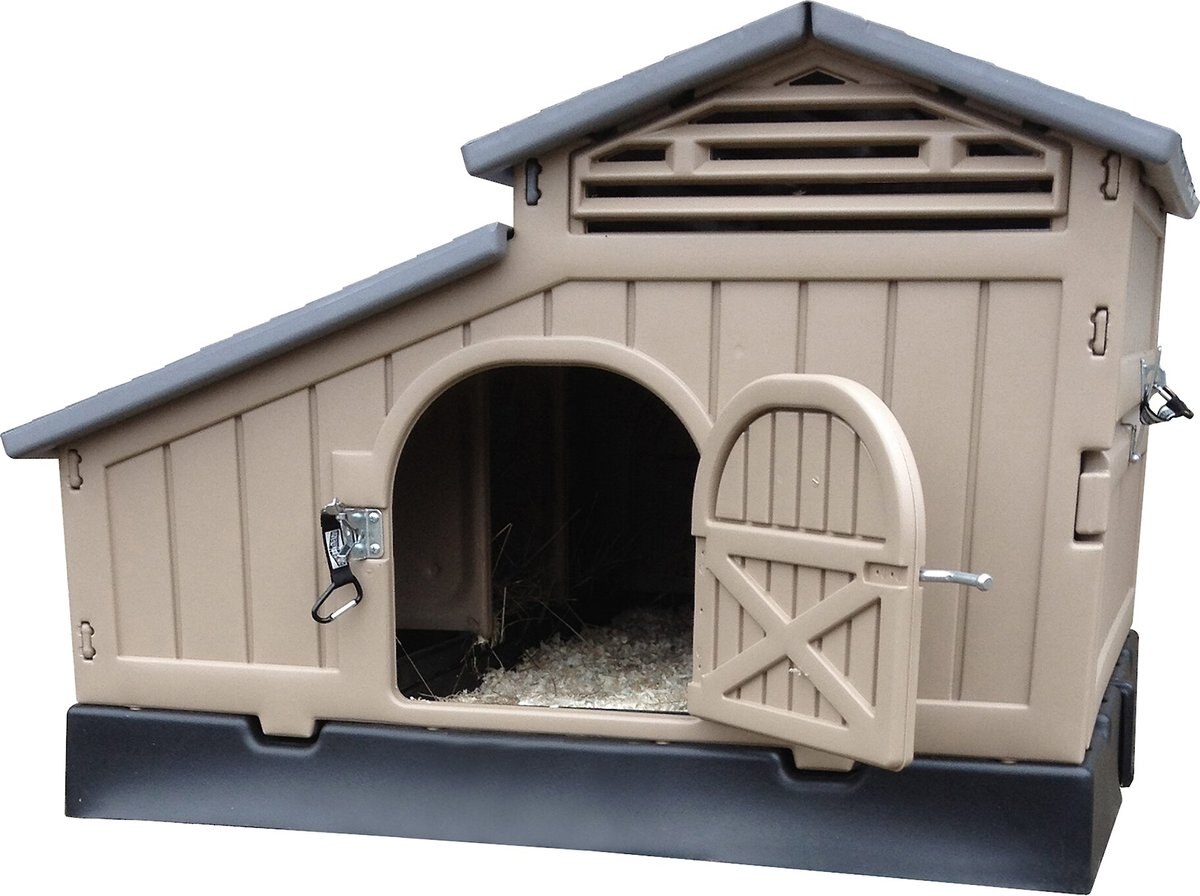 SNAP LOCK Snap Together Chicken Coop, Regular - Chewy.com