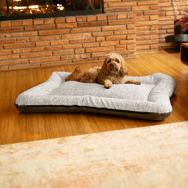 LOVMOR Oversized Human Dog Bed, Khaki - Chewy.com